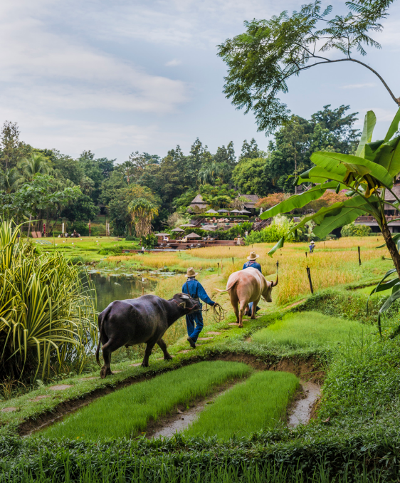 Discovery – Layah – The art of travel